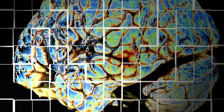 Faculty Research | Neuroscience Program | Illinois